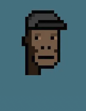 About Us – 247codecamp