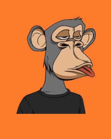 About Us – 247codecamp