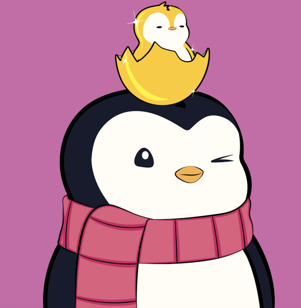 About Us – 247codecamp